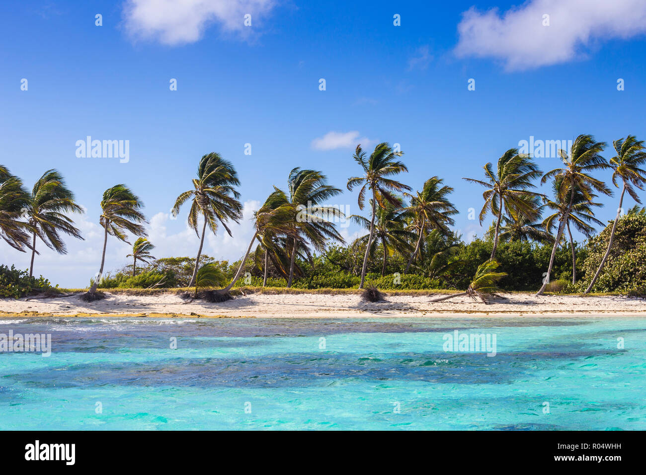Tobago cays immagini e fotografie stock ad alta risoluzione - Alamy