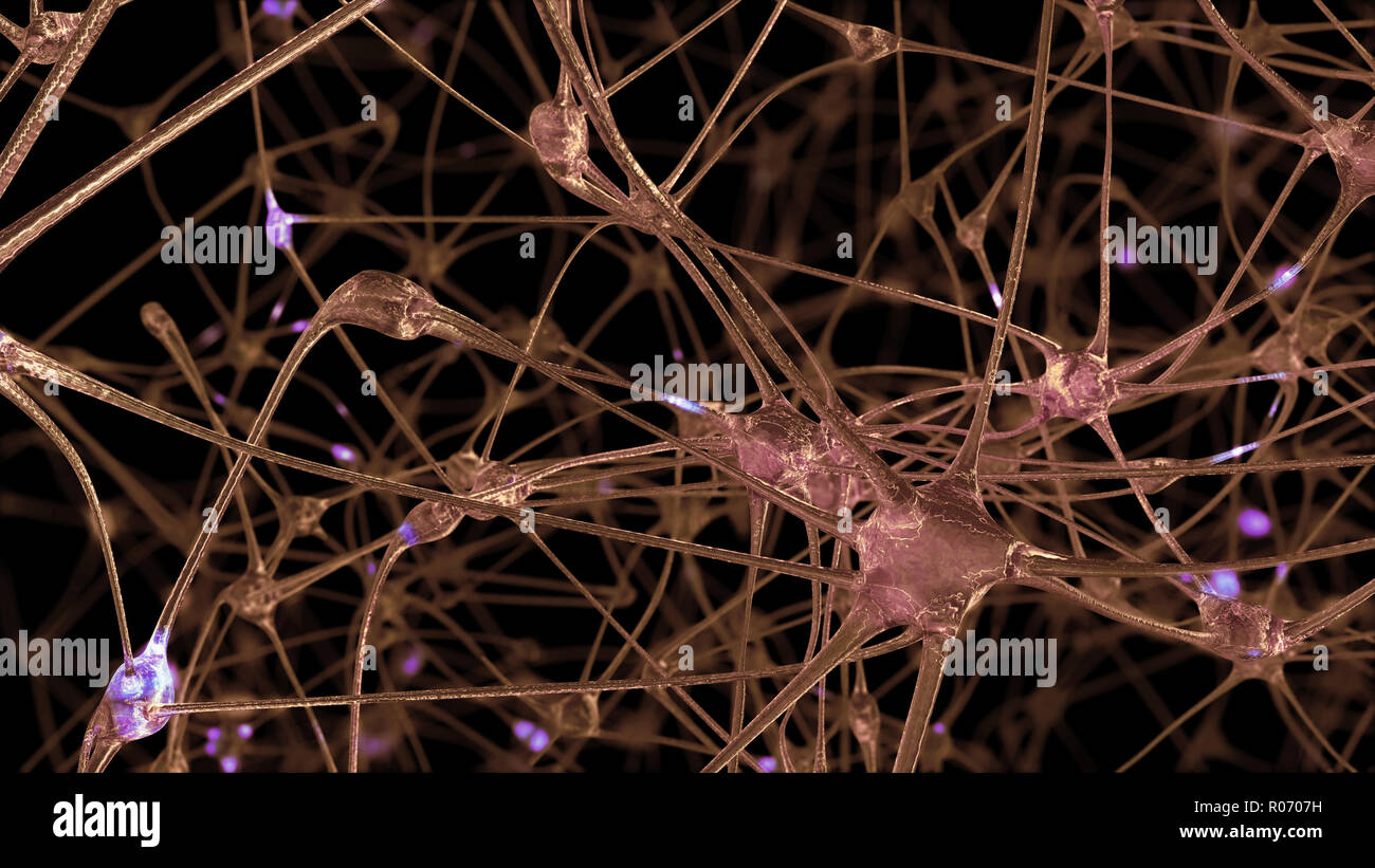 Sinapsi nel sistema nervoso Immagini e Fotos Stock - Alamy