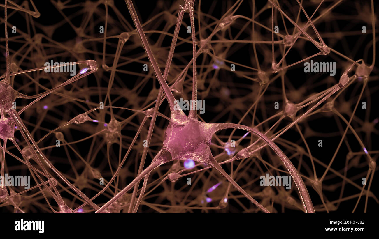 Anatomia delle sinapsi dei neuroni immagini e fotografie stock ad alta ...