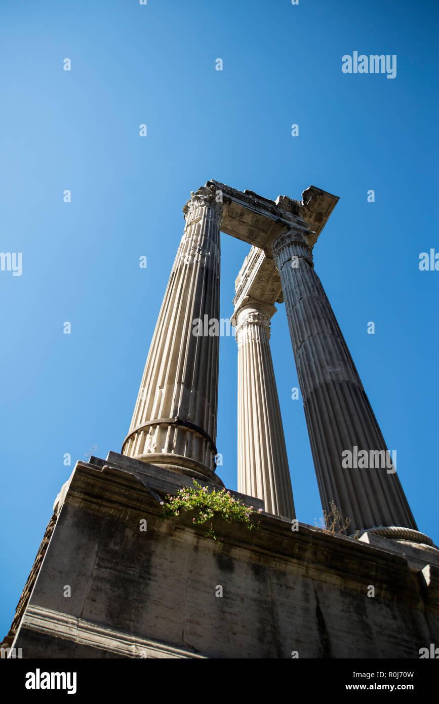 Tempio di apollo medicus roma immagini e fotografie stock ad alta ...
