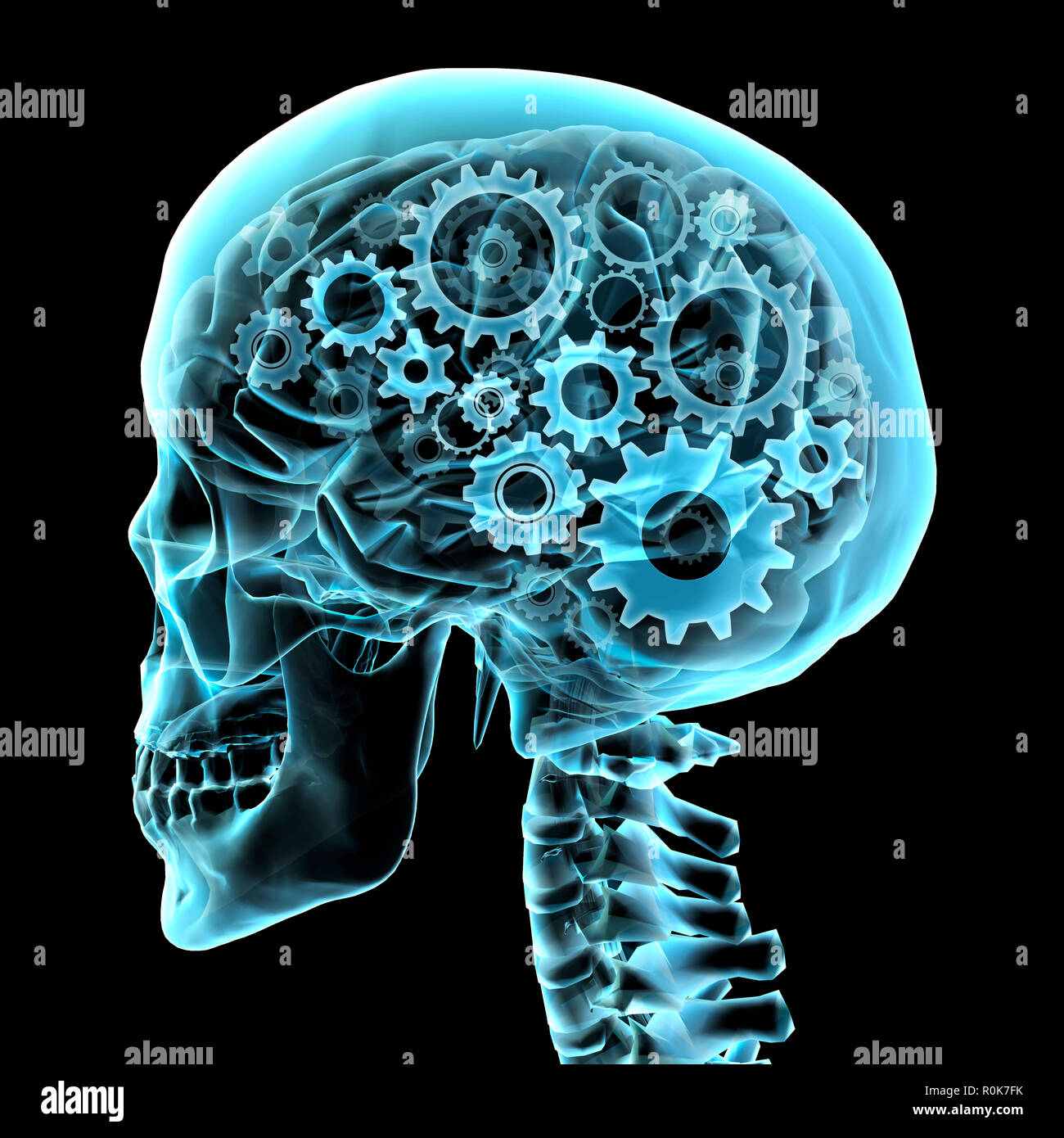 Radiografia del cranio anatomia del corpo umano immagini e fotografie ...