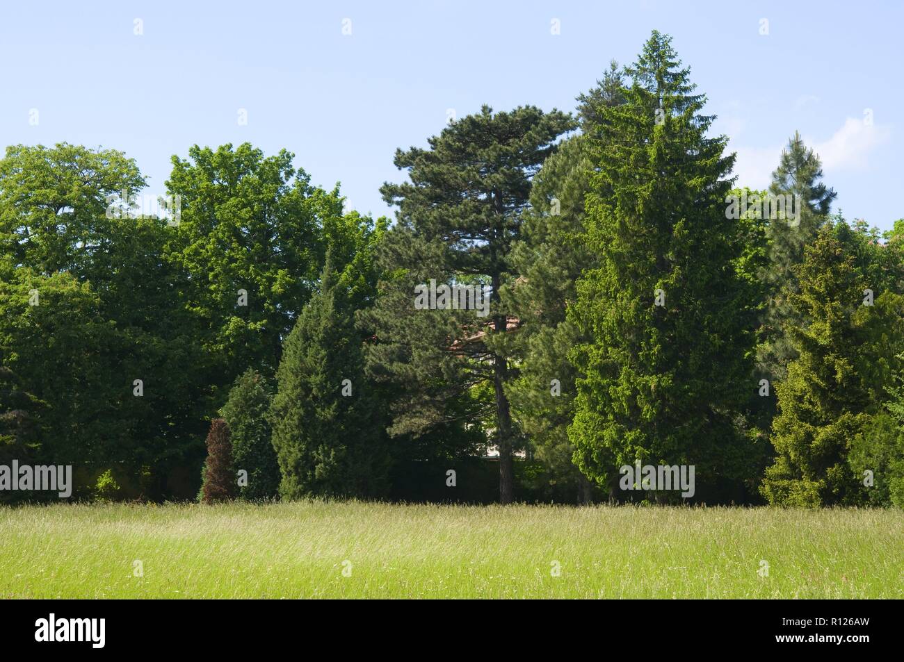 Schloss hetzendorf immagini e fotografie stock ad alta risoluzione - Alamy
