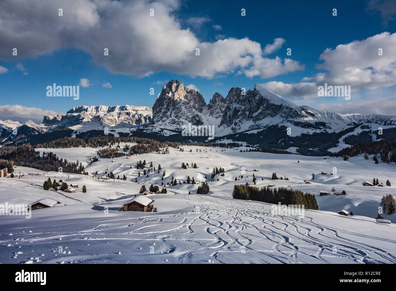 Alpe di Siusi Alpe di Siusi Dolomiti Foto stock - Alamy