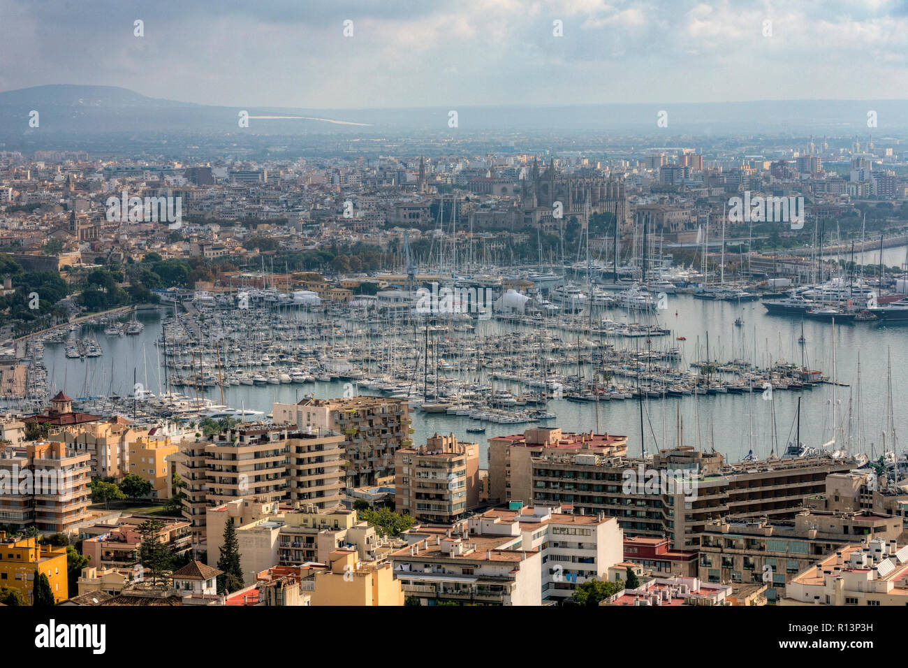 Mare di palma di maiorca immagini e fotografie stock ad alta ...