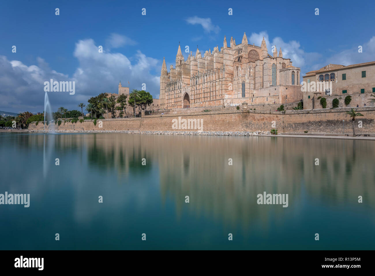 Mare di palma di maiorca immagini e fotografie stock ad alta ...