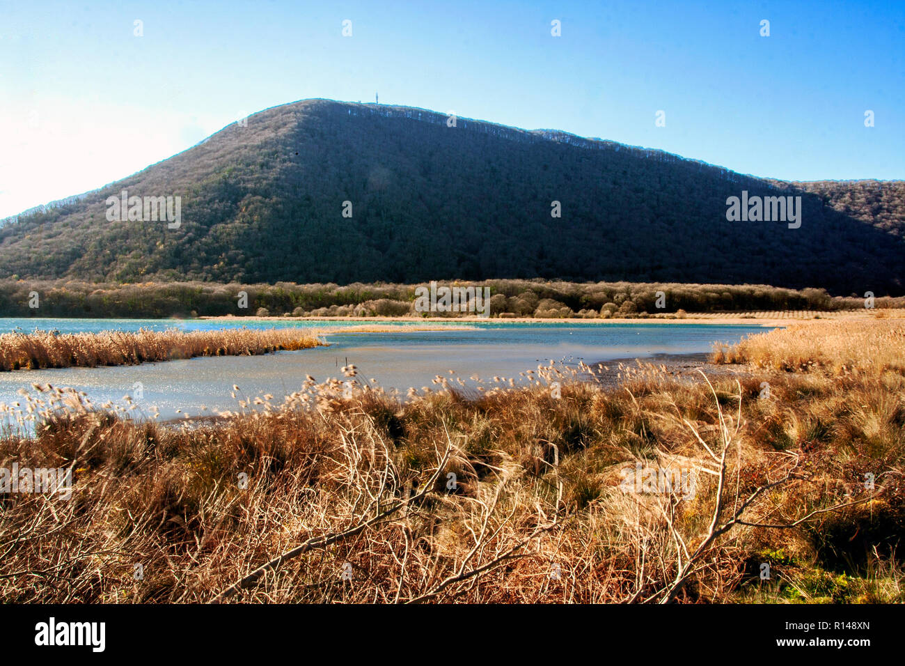 Parco vico immagini e fotografie stock ad alta risoluzione - Alamy