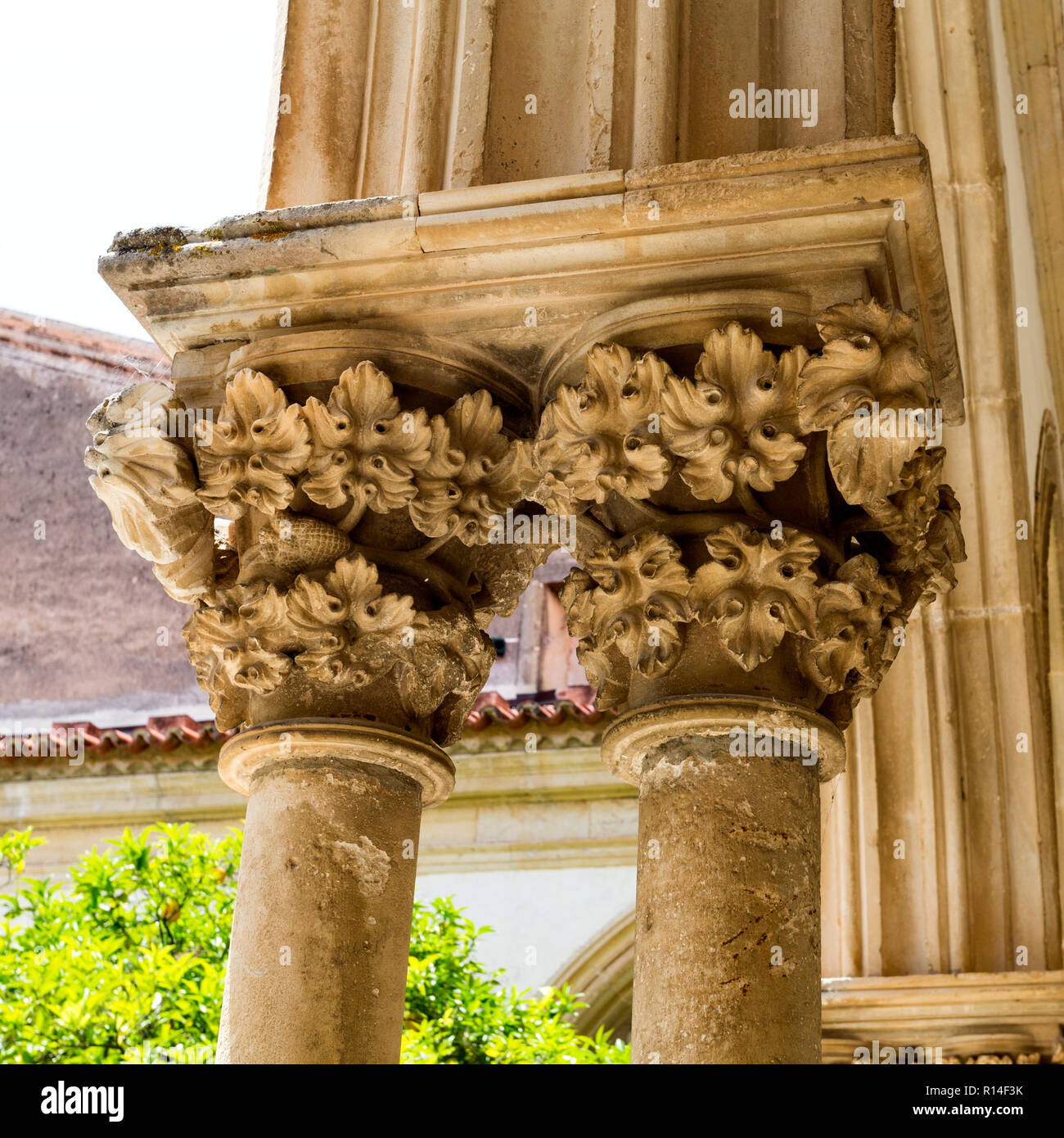 Dettaglio dei capitelli romanici raffiguranti motivi vegetali sulla ...