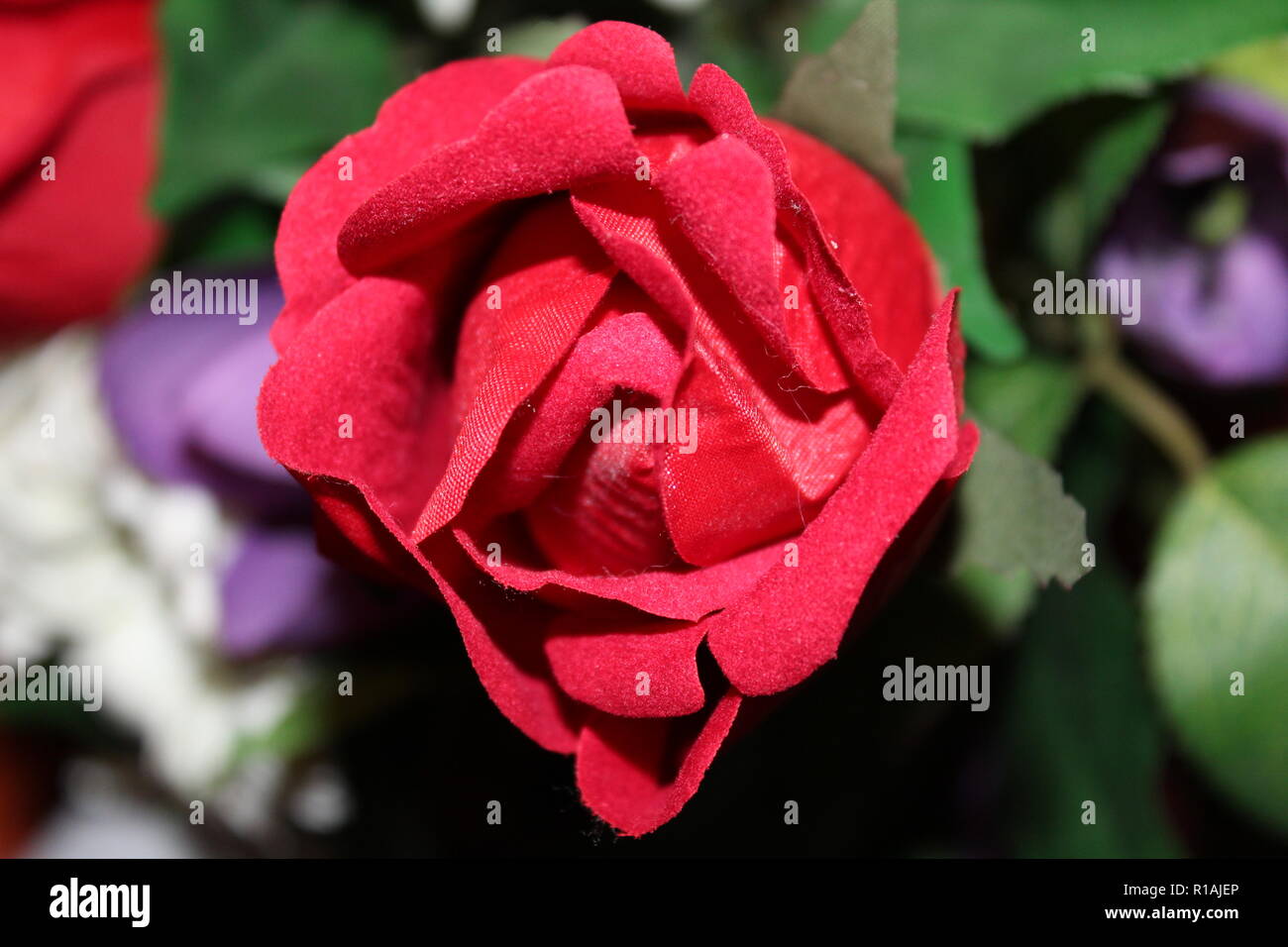 Carta da parati fiore rosso immagini e fotografie stock ad alta ...