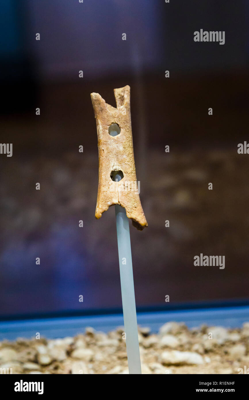 Flauto di neanderthal immagini e fotografie stock ad alta risoluzione ...