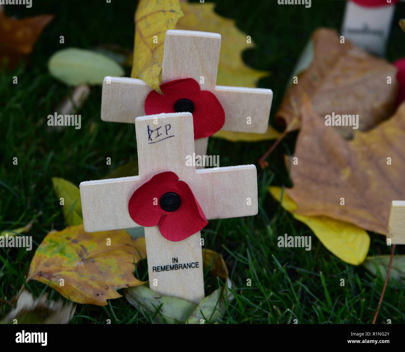 Simbolismo del ricordo immagini e fotografie stock ad alta risoluzione ...