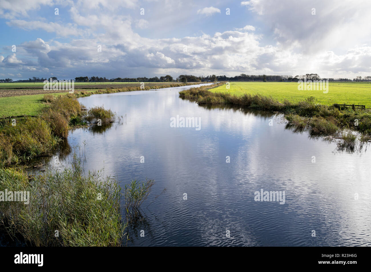 Polder olandese immagini e fotografie stock ad alta risoluzione - Alamy
