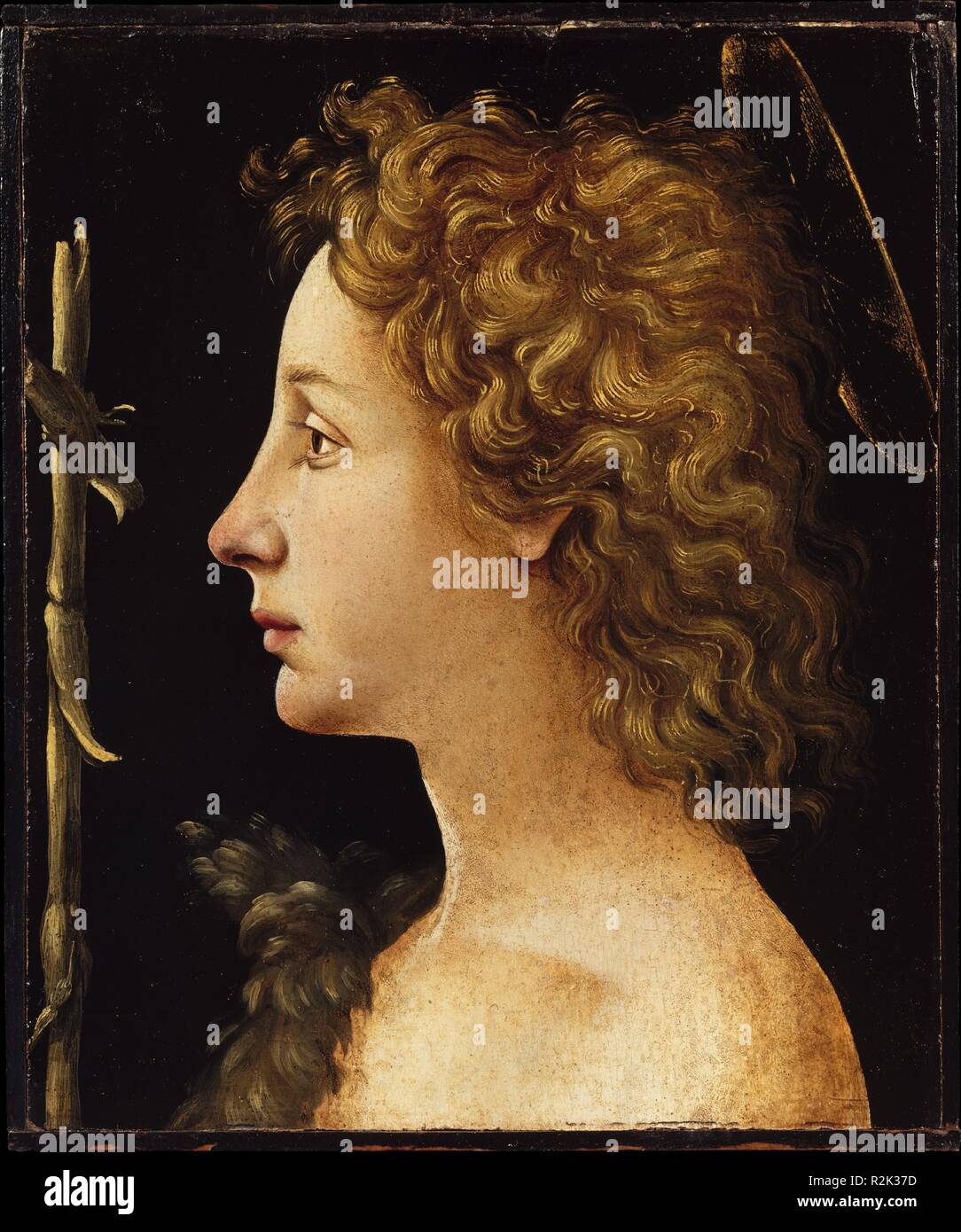 Rappresentazione del profilo immagini e fotografie stock ad alta ...