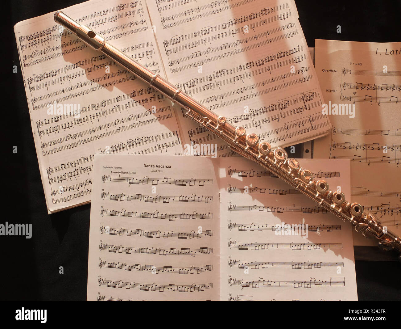 Flauto traverso immagini e fotografie stock ad alta risoluzione - Alamy