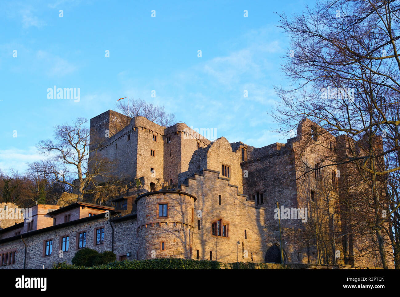 Castello hohenbaden immagini e fotografie stock ad alta risoluzione - Alamy
