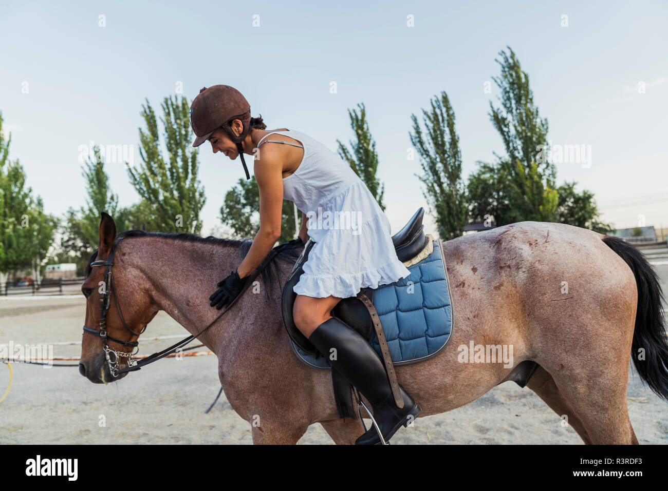 Cavallo femminile immagini e fotografie stock ad alta risoluzione - Alamy