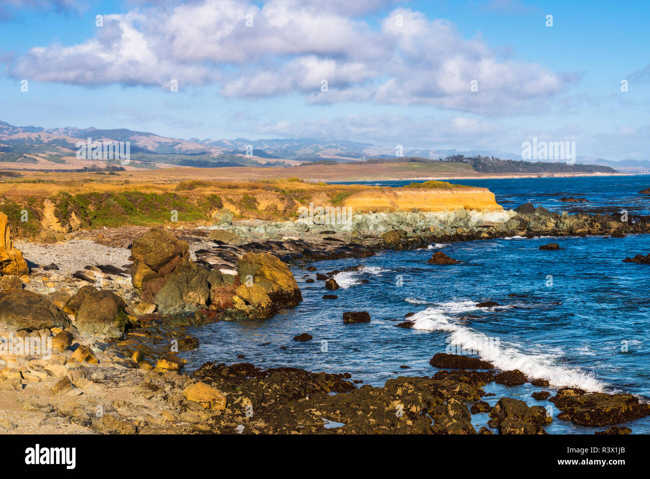 Elefante santuario della foca immagini e fotografie stock ad alta ...