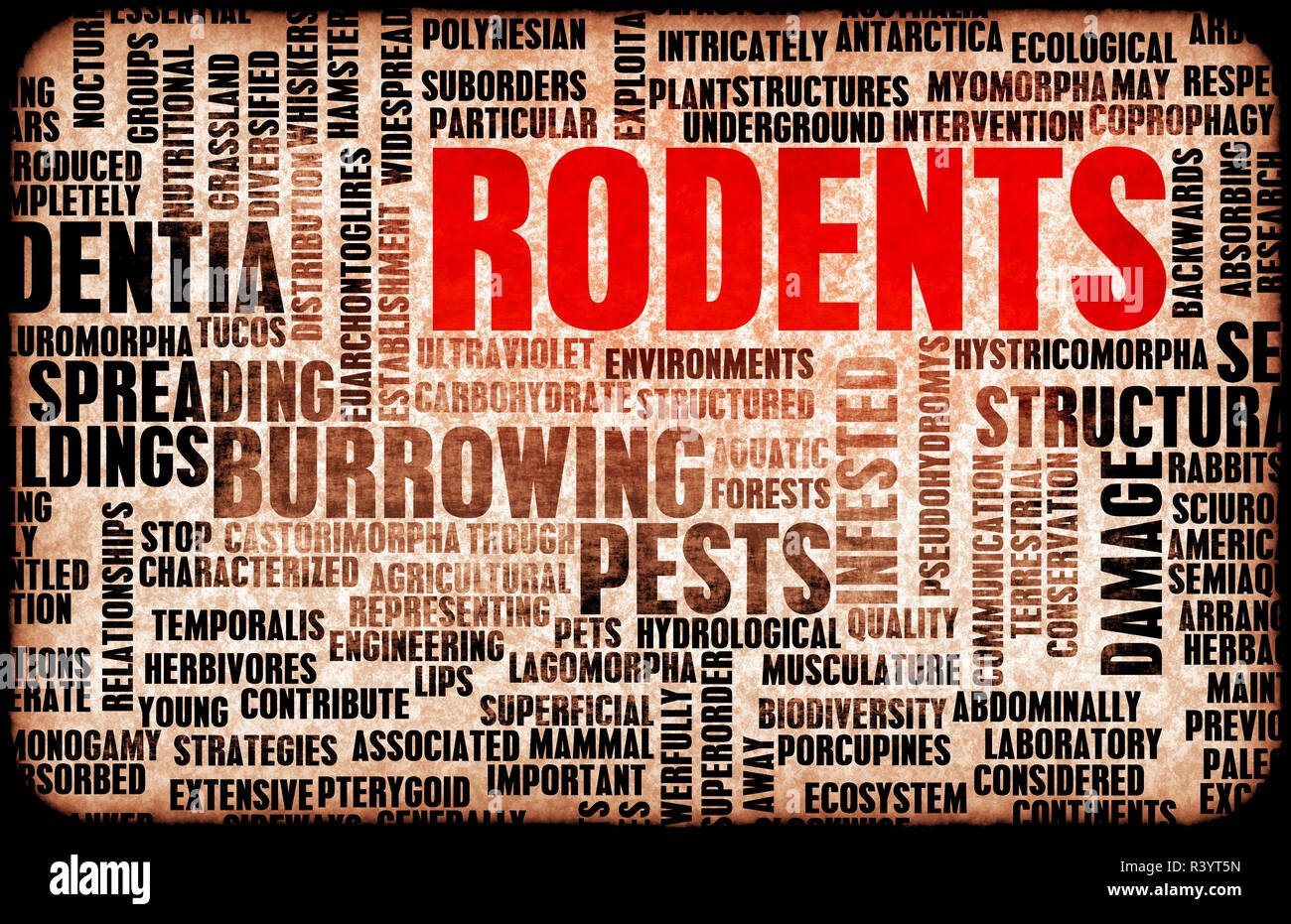 Prevenzione dei roditori immagini e fotografie stock ad alta ...