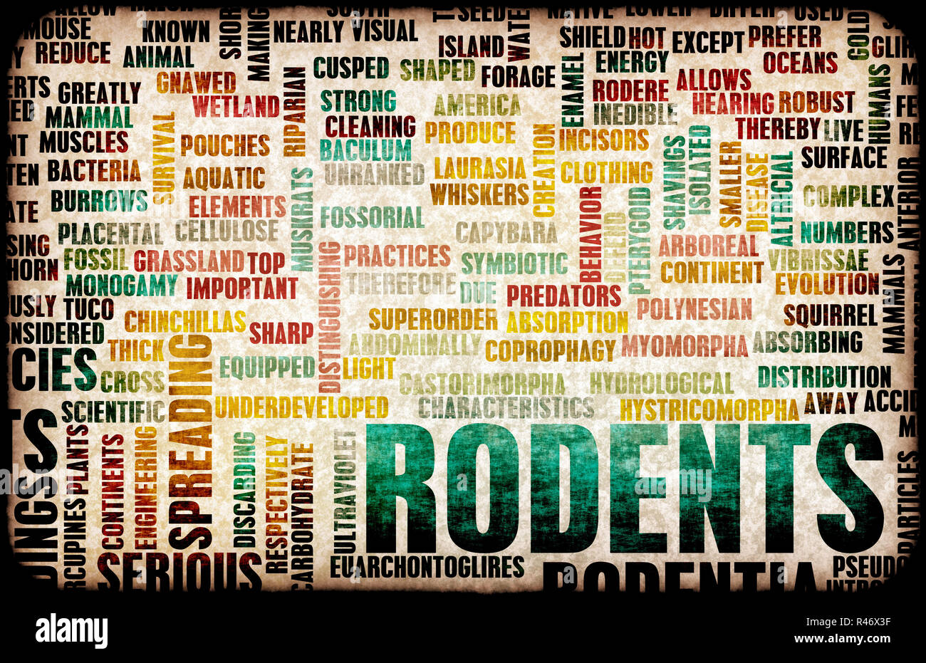 Prevenzione dei roditori immagini e fotografie stock ad alta ...