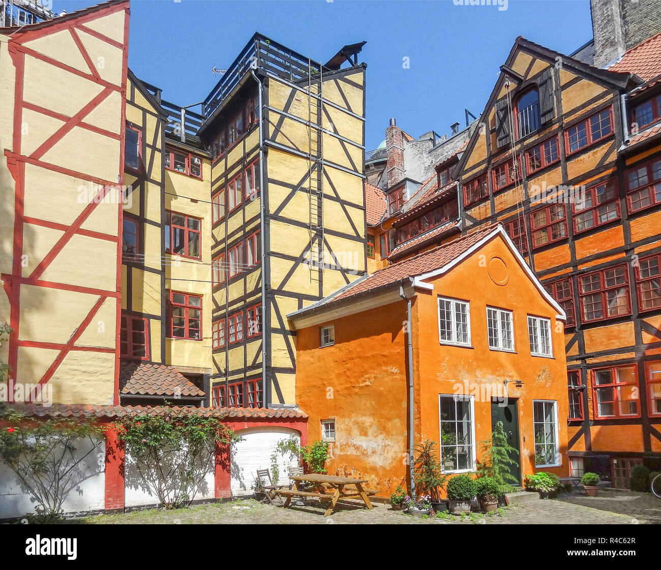 Mezzi di coltura colorati immagini e fotografie stock ad alta ...