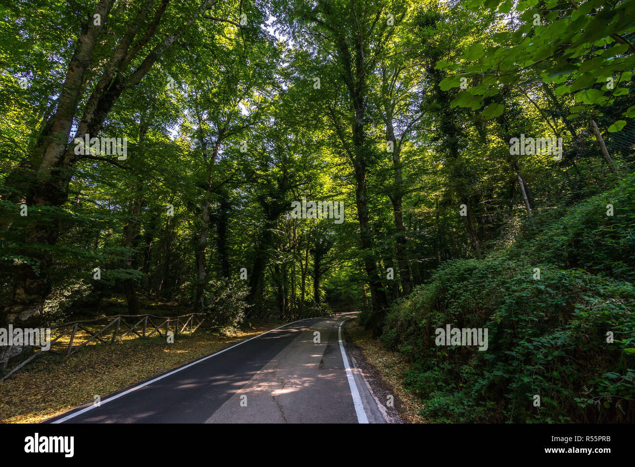 Parco nazionale del gargano immagini e fotografie stock ad alta ...