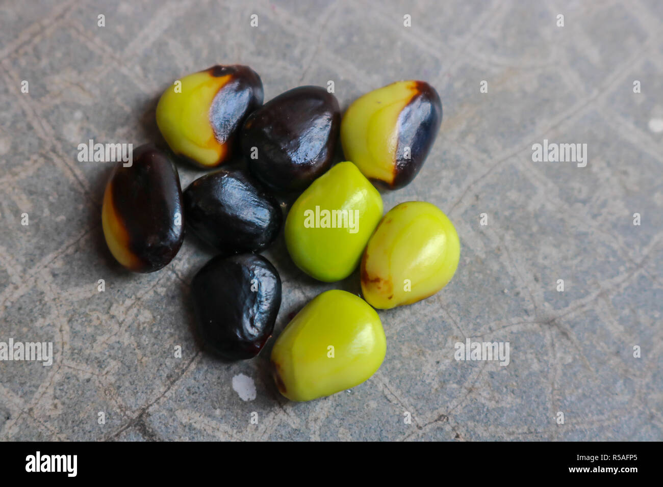 Pithecellobium dulce immagini e fotografie stock ad alta risoluzione ...