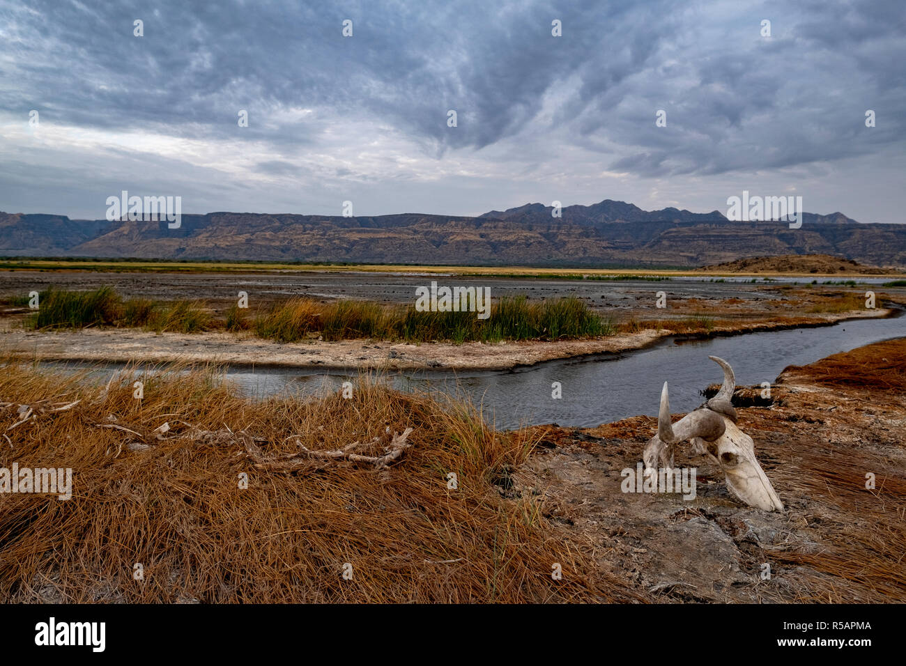 Gregory rift valley immagini e fotografie stock ad alta risoluzione - Alamy