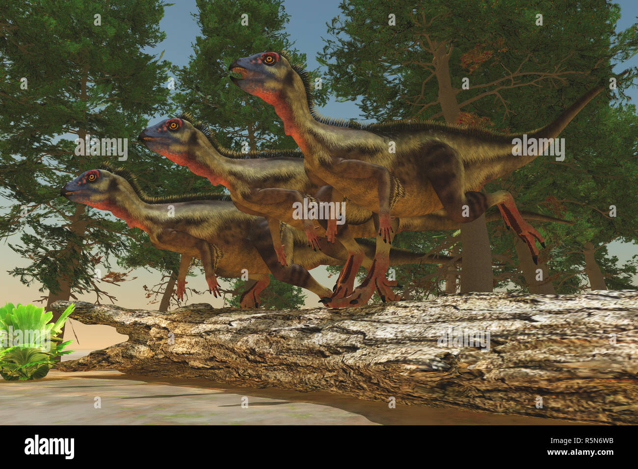 Evoluzione della terra primordiale immagini e fotografie stock ad alta ...