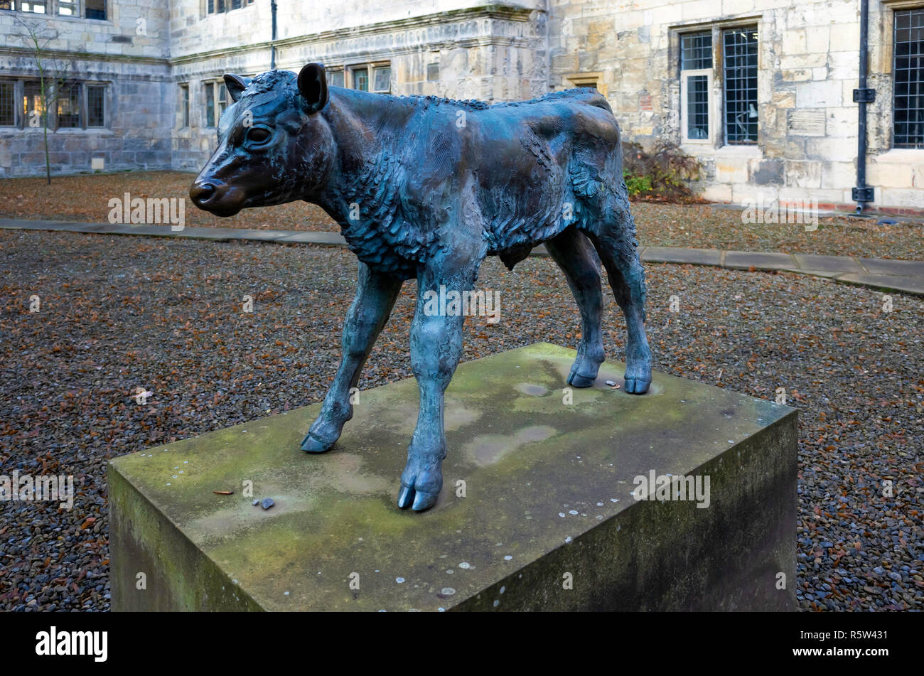 La vita dei re immagini e fotografie stock ad alta risoluzione - Alamy