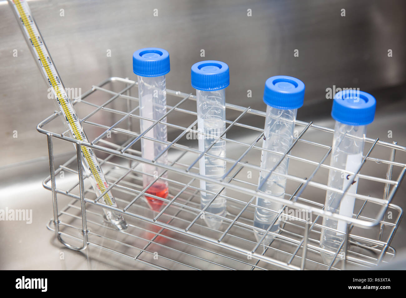Metodo del bagno d'acqua immagini e fotografie stock ad alta ...