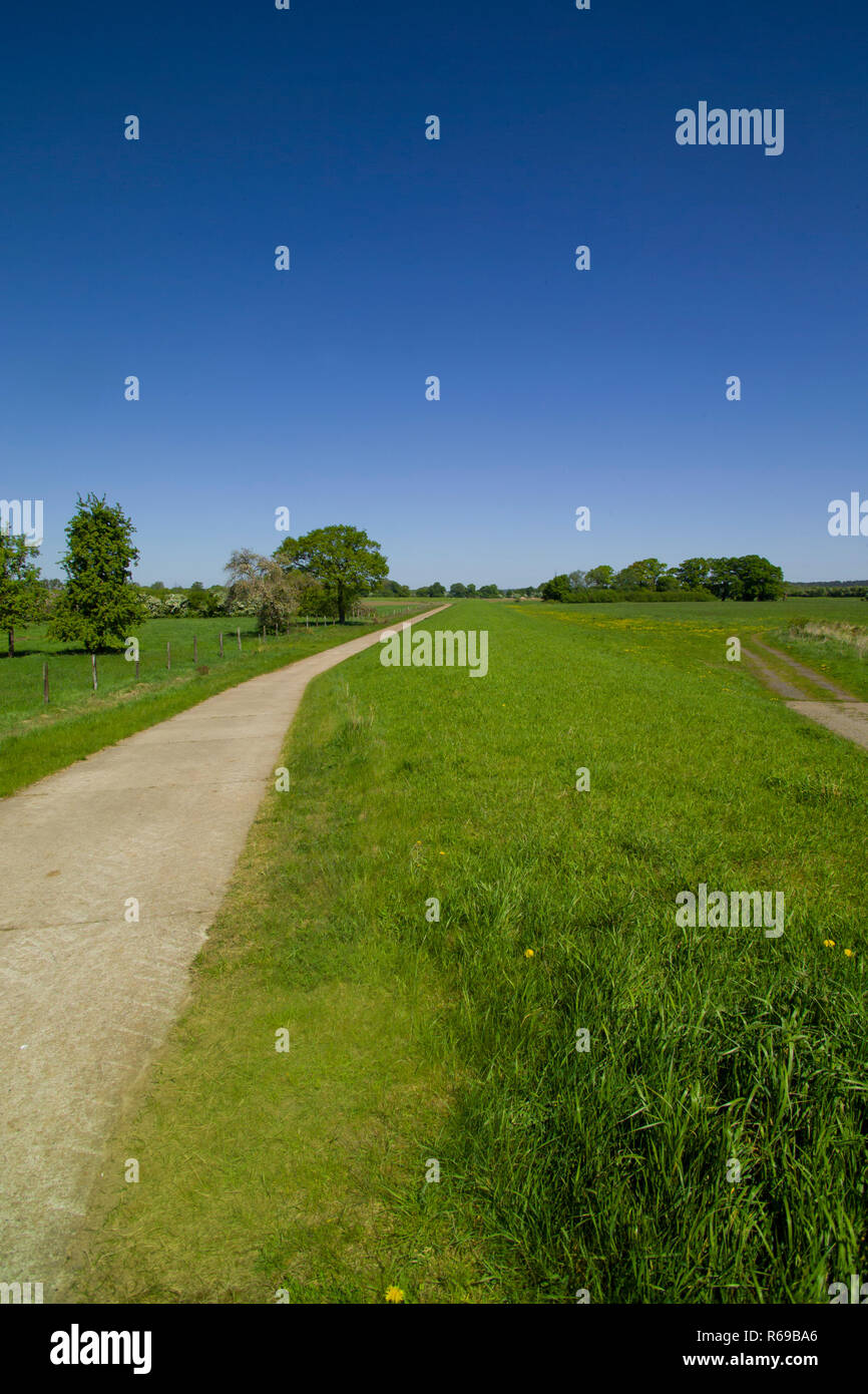 Foreste demaniali della bassa sassonia immagini e fotografie stock ad ...