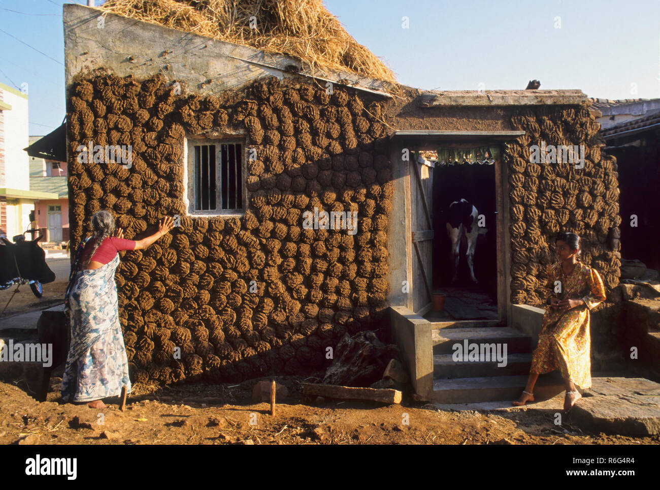Intonaco di sterco di mucca immagini e fotografie stock ad alta ...