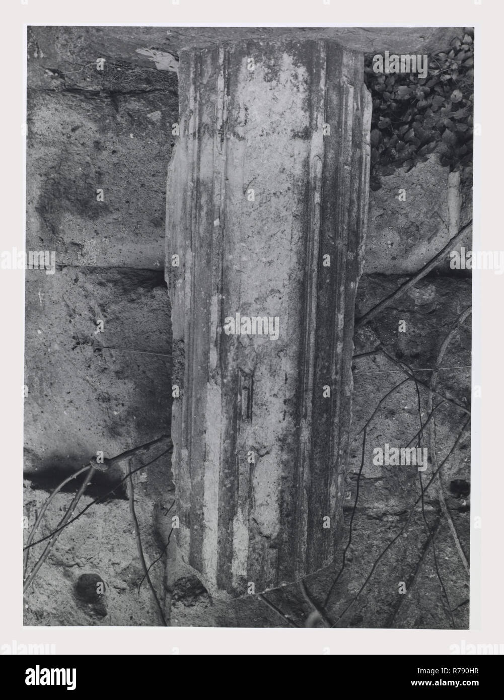 Lazio Roma Albano Laziale Porta Pretoria, questa è la mia Italia, il ...