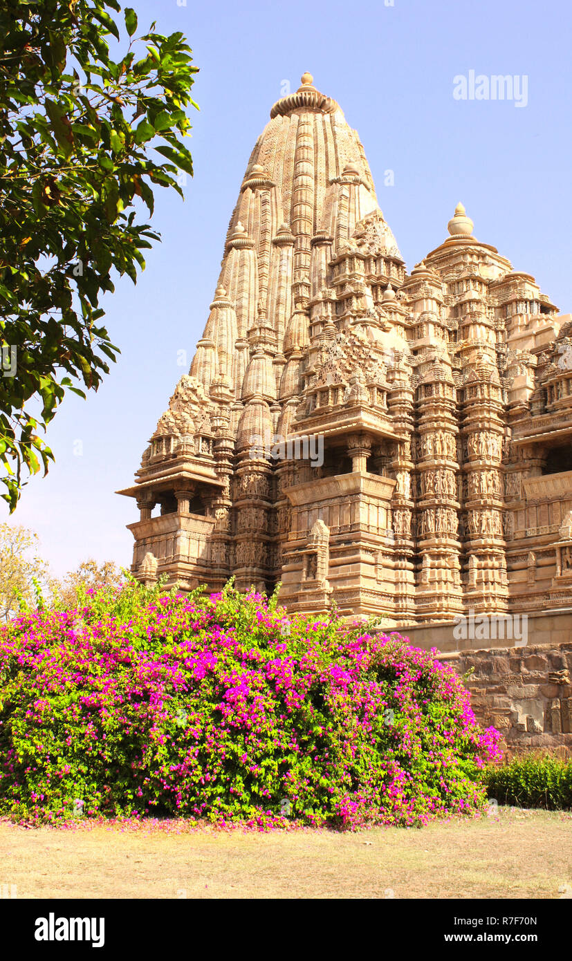 Debi jagdambi immagini e fotografie stock ad alta risoluzione - Alamy