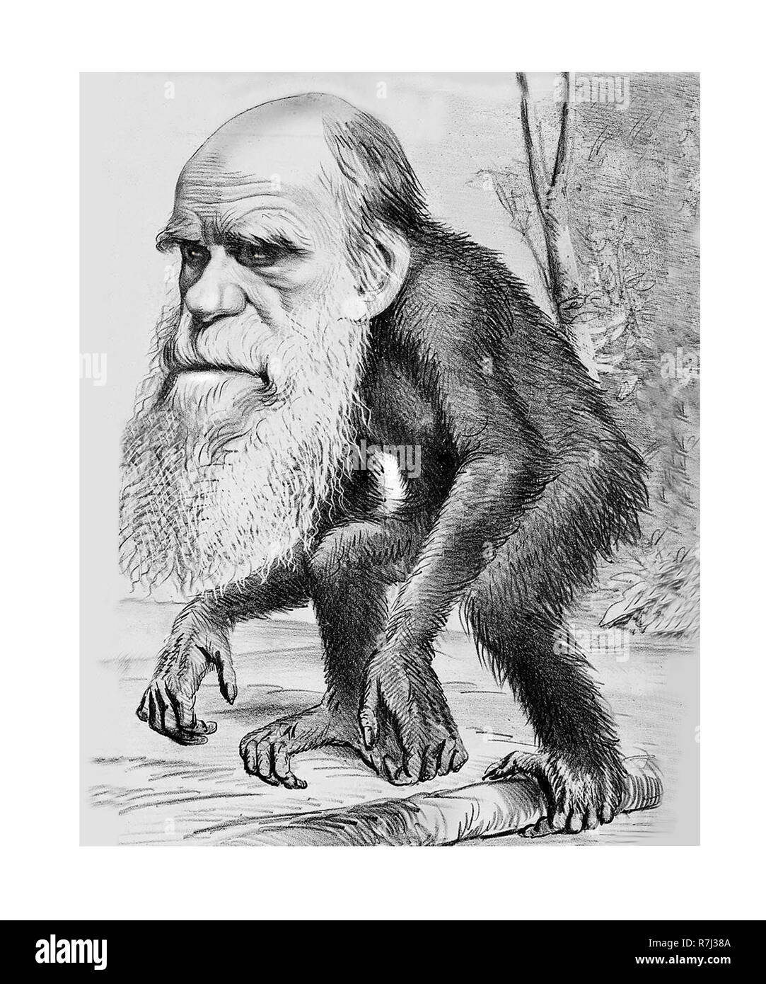 Charles darwin evolution theory Immagini senza sfondo e Foto Stock ...