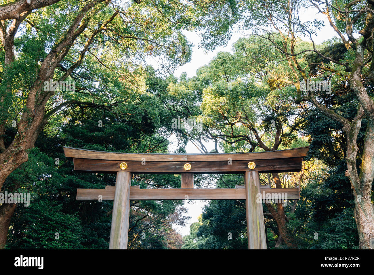 Porta del tempio di meiji jingu immagini e fotografie stock ad alta ...