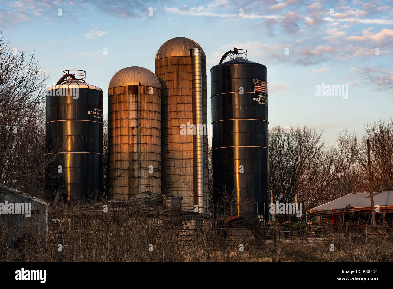Dairy farms immagini e fotografie stock ad alta risoluzione - Alamy