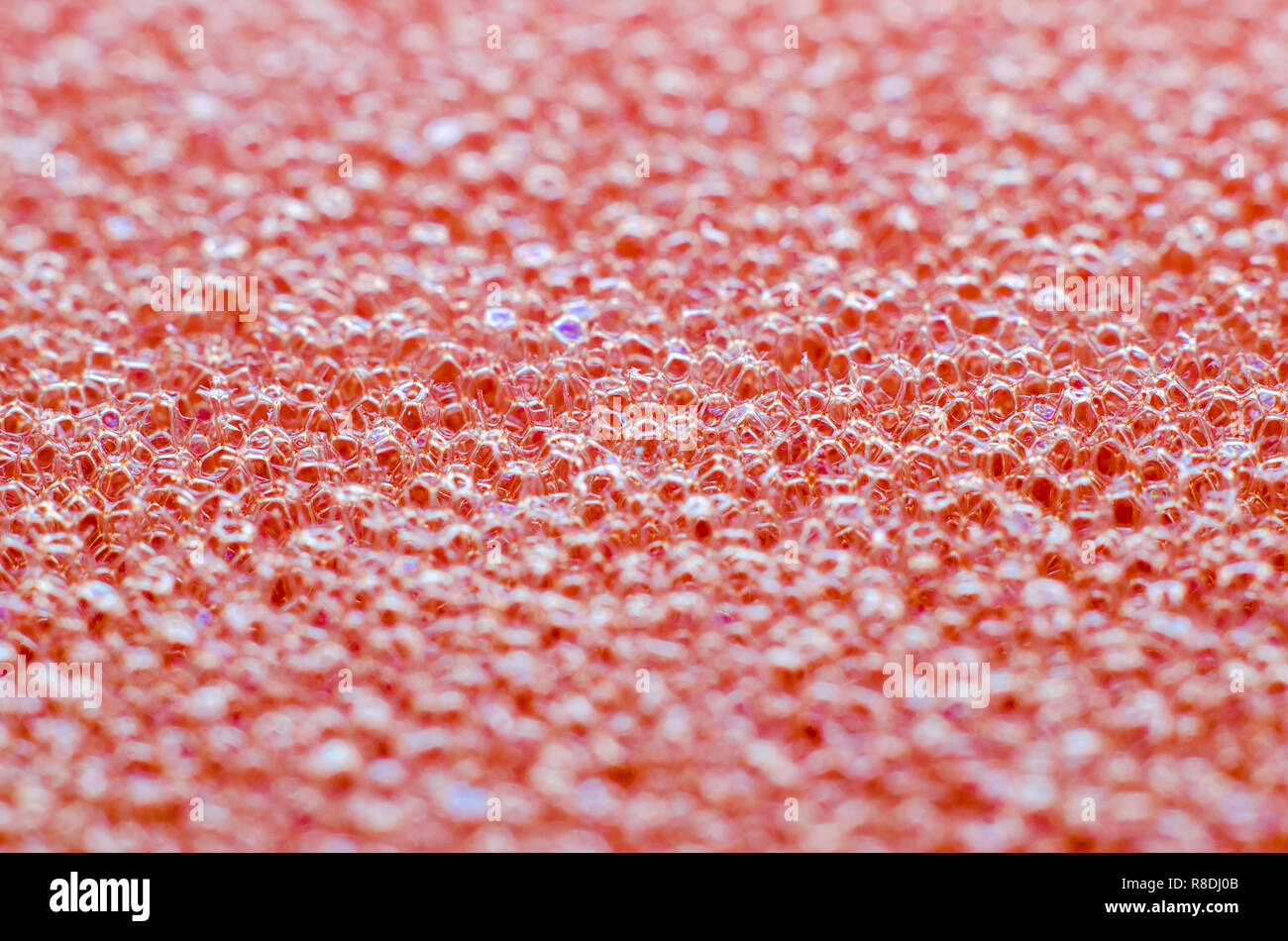 Sponge texture immagini e fotografie stock ad alta risoluzione - Alamy