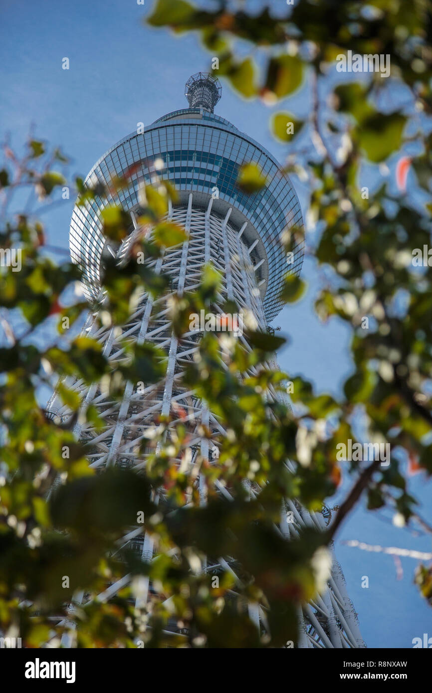 Tobu skytree immagini e fotografie stock ad alta risoluzione - Alamy