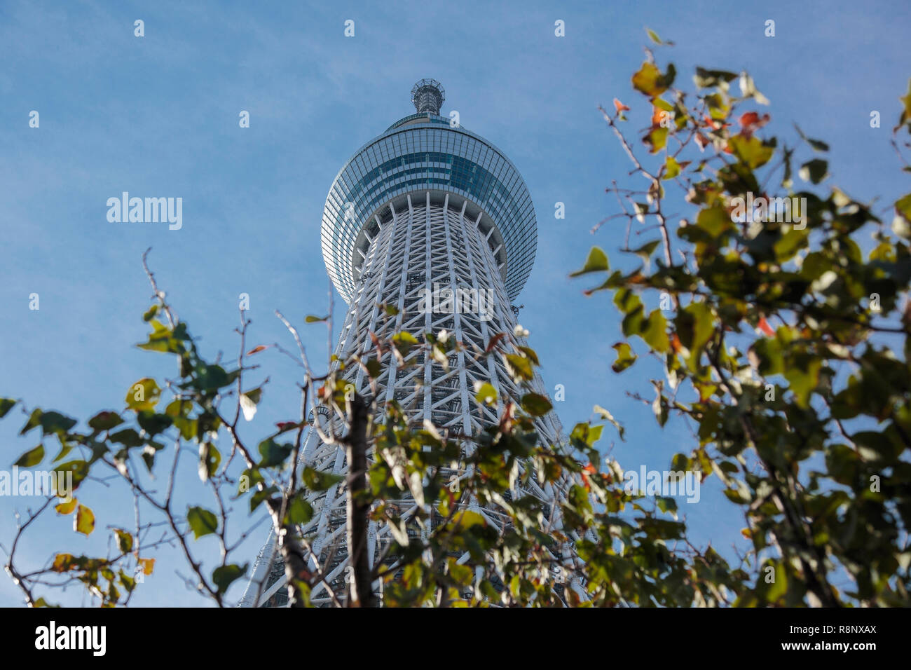 Tobu skytree immagini e fotografie stock ad alta risoluzione - Alamy