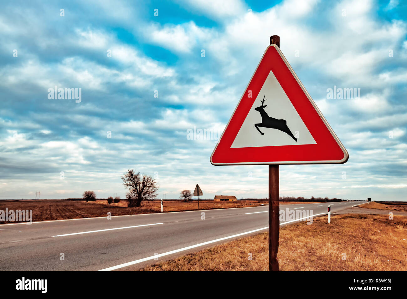 Cartello stradale dei cervi immagini e fotografie stock ad alta ...