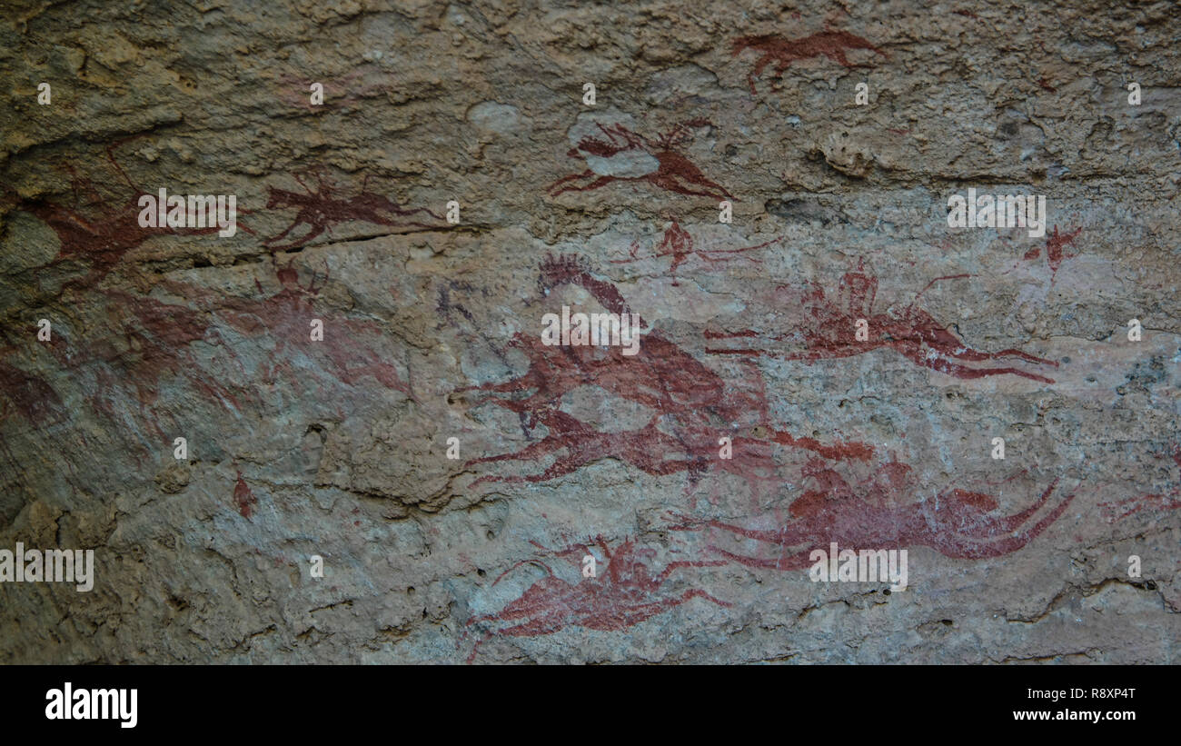 Pittura rupestre di cavalli immagini e fotografie stock ad alta ...