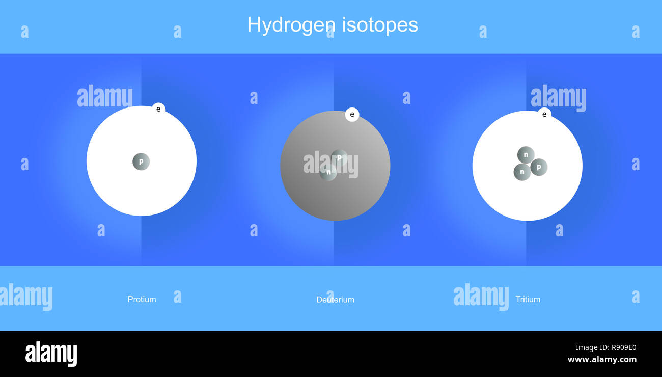 Gli isotopi di idrogeno la struttura atomica illustrazione schematica ...