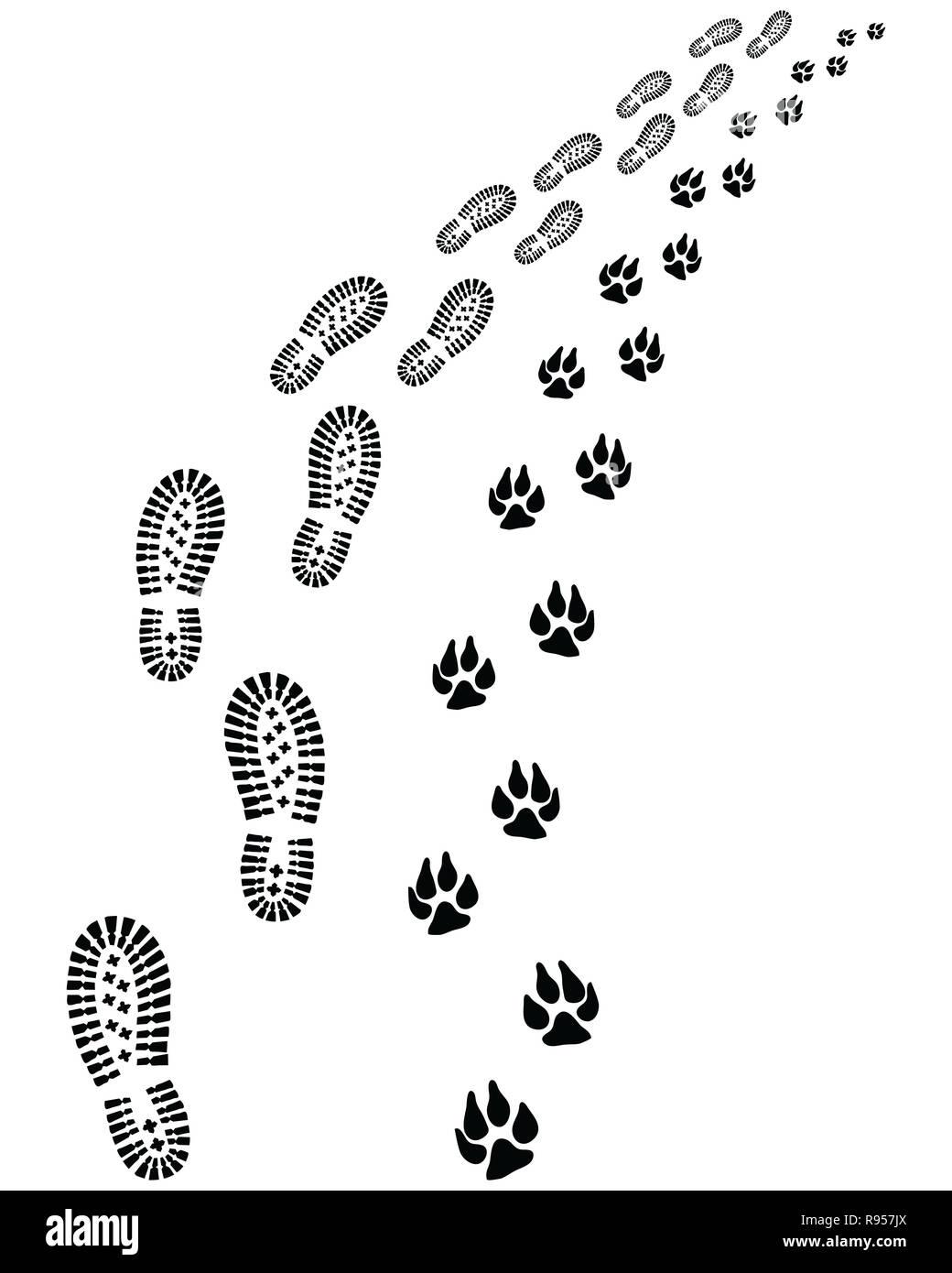 Punta del cane immagini e fotografie stock ad alta risoluzione - Alamy