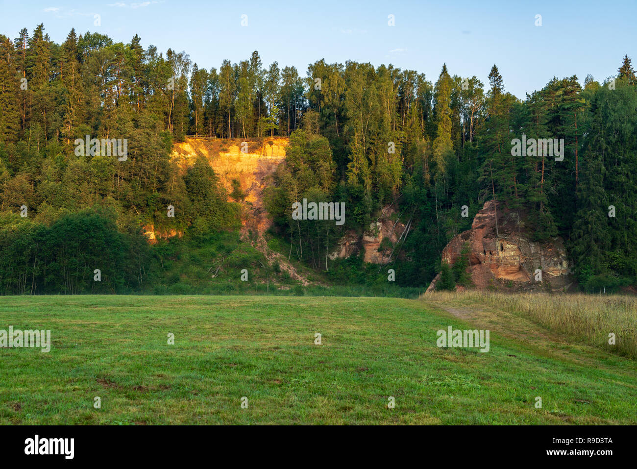 Vuoto paesaggio di campagna in autunno con i campi e prati e alberi ...