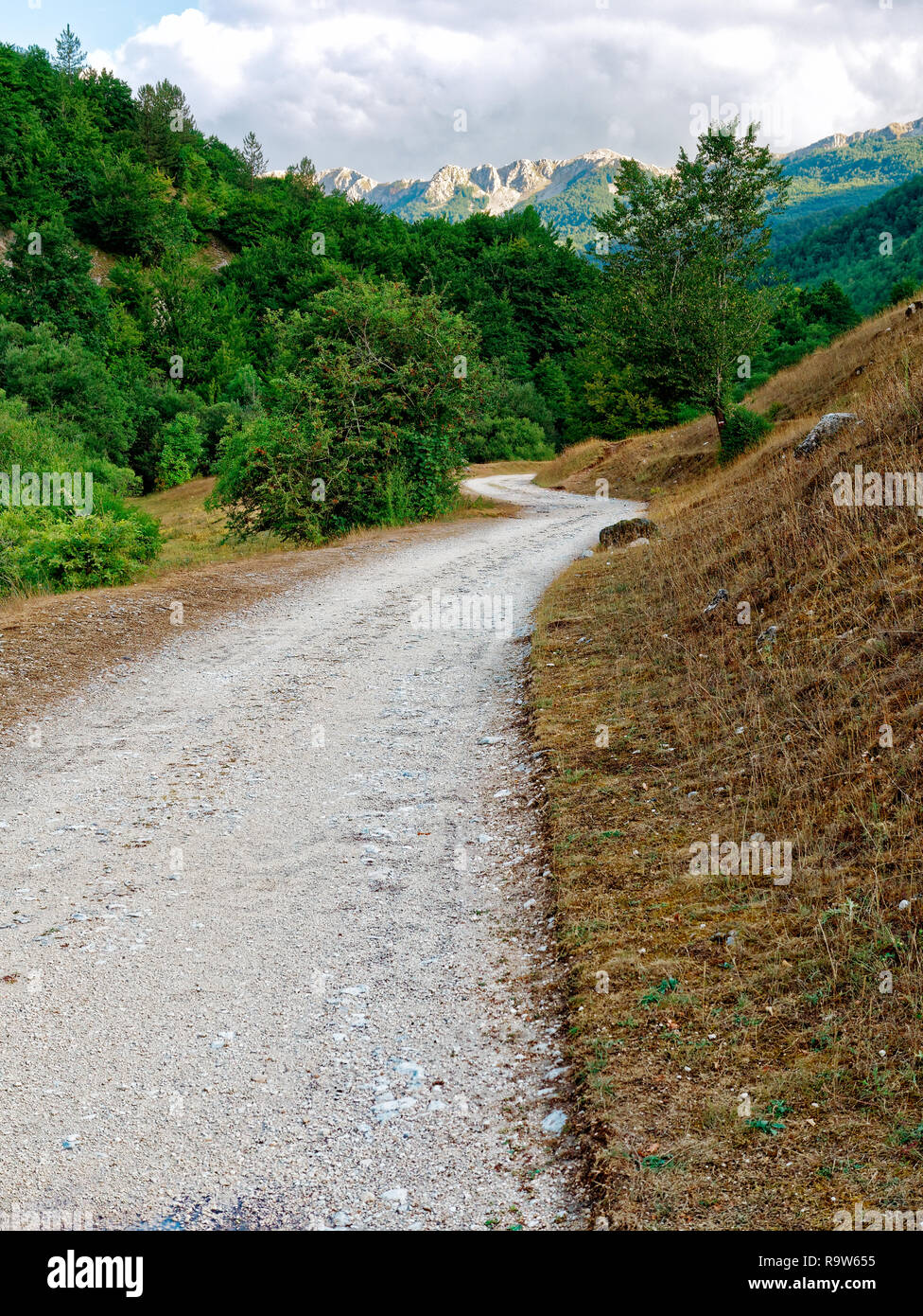Sentiero di ghiaia bianca immagini e fotografie stock ad alta ...