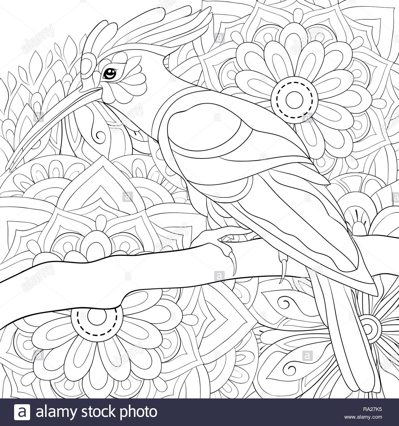 Disegno Per Bambini Upupa - Disegni HD