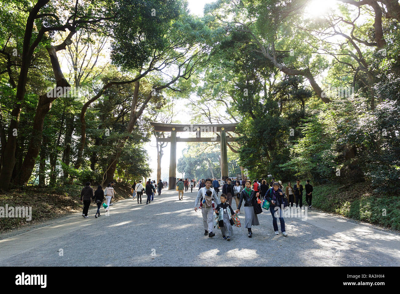 Il Tempio di Meiji, Yoyogi Park Harayuku, Tokyo Giappone (明治神宮, Meiji ...