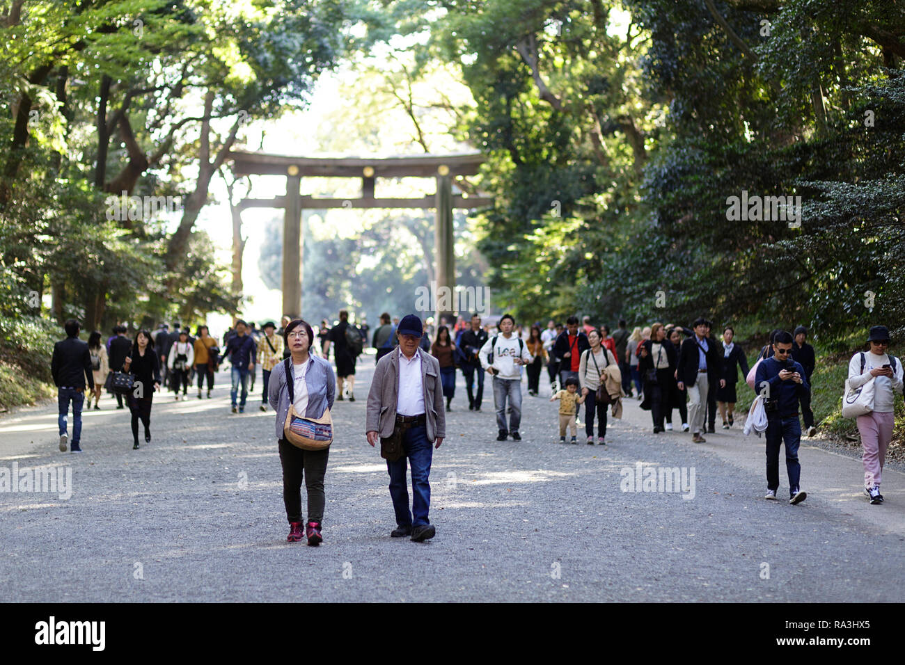 Il Tempio di Meiji, Yoyogi Park Harayuku, Tokyo Giappone (明治神宮, Meiji ...