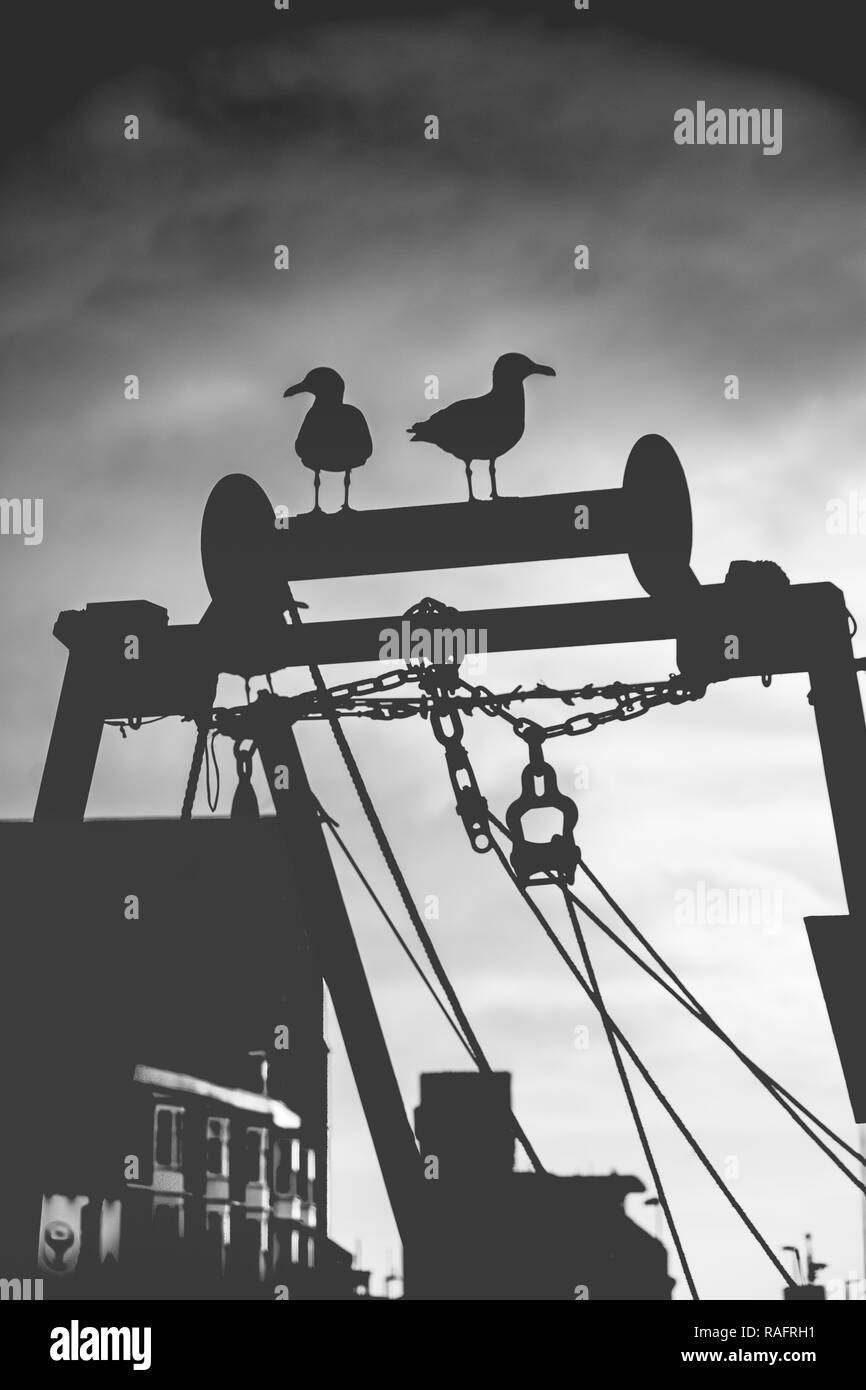 Barca da pesca sagoma bianco e nero immagini e fotografie stock ad alta ...