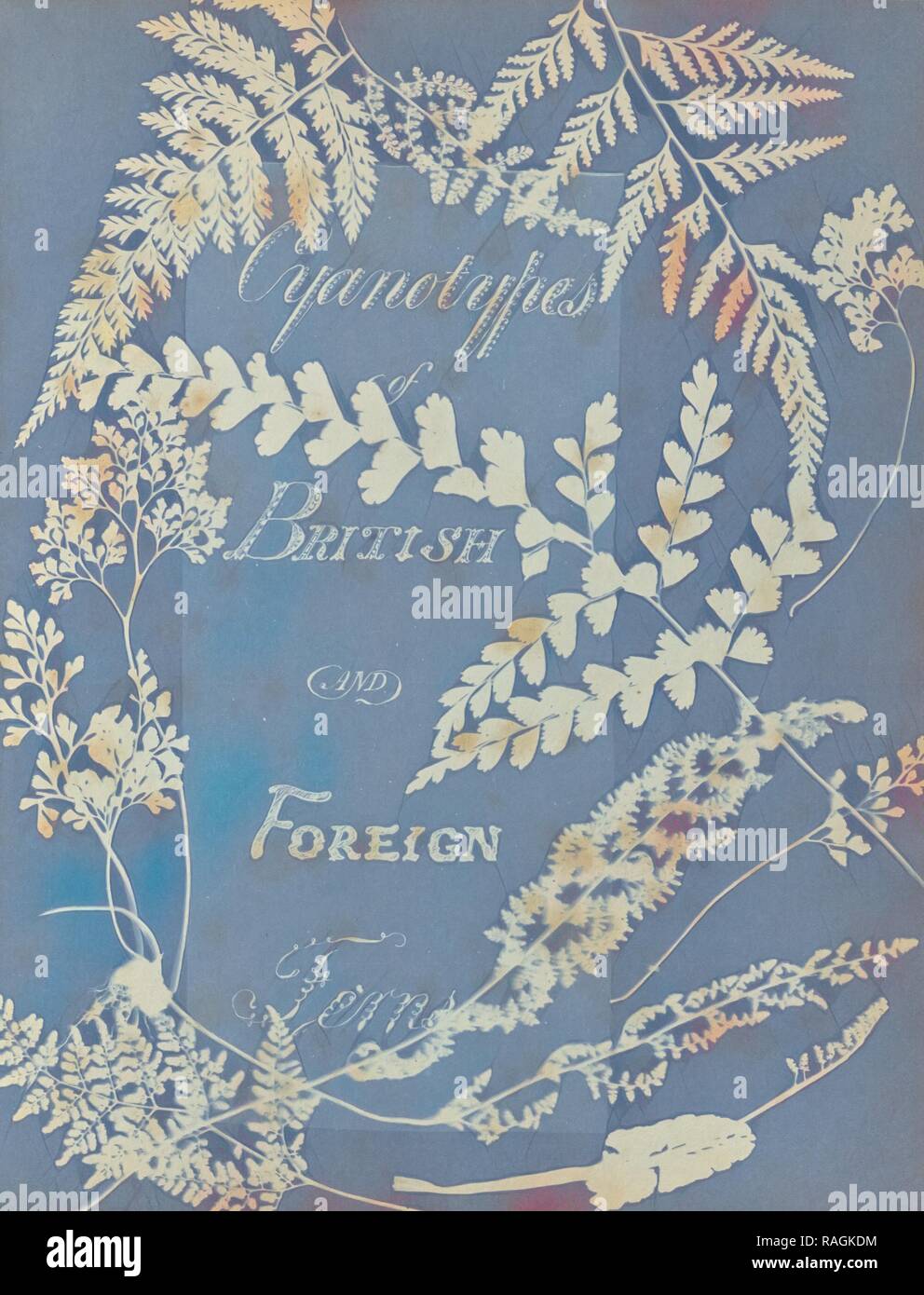 Cyanotypes immagini e fotografie stock ad alta risoluzione - Alamy